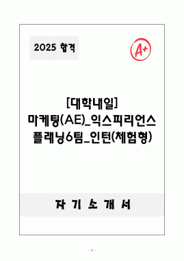 2025 [대학내일] 마케팅(AE)_익스피리언스플래닝6팀_인턴(체험형) 자소서-1페이지