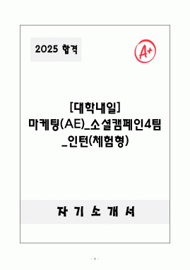 2025 [대학내일] 마케팅(AE)_소셜캠페인4팀_인턴(체험형) 자소서-1페이지