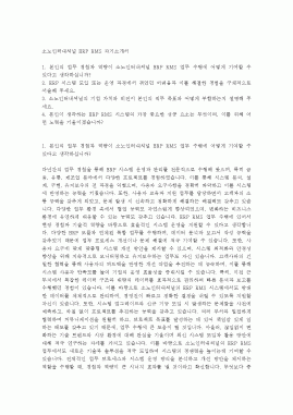 소노인터내셔널 ERP RMS 자기소개서-1페이지