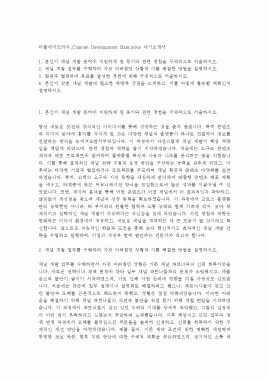 더블에이코리아_Channel Development Executive 자기소개서-1페이지
