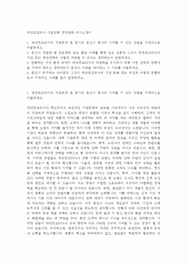 데상트코리아 사업전략 경영전략 자기소개서-1페이지
