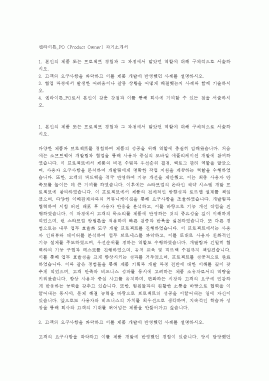 엔라이튼_PO (Product Owner) 자기소개서-1페이지
