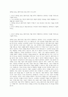 엔픽셀 크로노 클라이언트 프로그래머 자기소개서-1페이지
