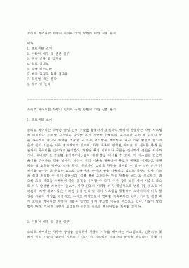 소리로 제어되는 차량의 원리와 구현 방법에 대한 심층 분석-1페이지