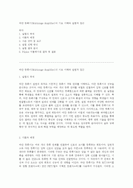 다단 증폭기(Multistage Amplifier)의 기초 이해와 실험적 접근-1페이지