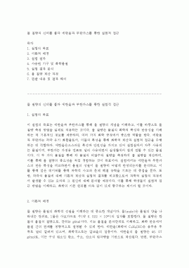 몰 질량의 신비를 풀다 에탄올과 부탄가스를 통한 실험적 접근-1페이지