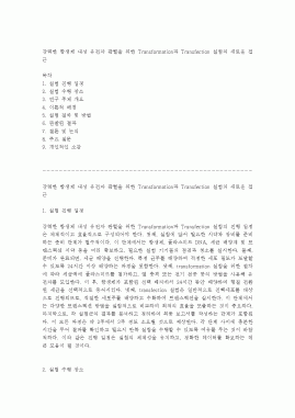 강력한 항생제 내성 유전자 판별을 위한 Transformation과 Transfection 실험의 새로운 접근-1페이지