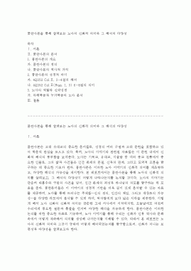 쿰란사본을 통해 살펴보는 노아의 신화적 의미와 그 해석의 다양성-1페이지