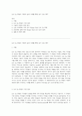Lift Up 공법의 이론과 실제 사례를 통한 깊이 있는 탐구-1페이지