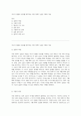 에너지 변환의 원리를 탐구하는 차등 증폭기 실험 이해와 적용-1페이지