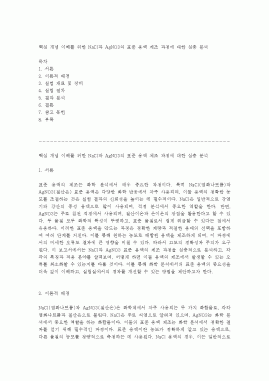 핵심 개념 이해를 위한 NaCl과 AgNO3의 표준 용액 제조 과정에 대한 심층 분석-1페이지