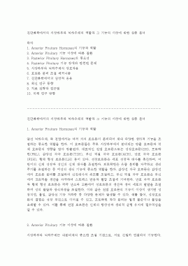 진단화학에서의 시상하부와 뇌하수체의 역할과 그 기능의 이상에 대한 심층 분석-1페이지