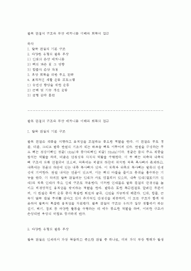 발목 관절의 구조와 부상 메커니즘 이해와 회복의 접근-1페이지