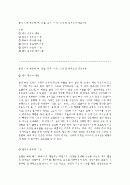 발의 기능 해부학 뼈, 관절, 근육, 아치, 인대 및 움직임의 상호작용-1페이지