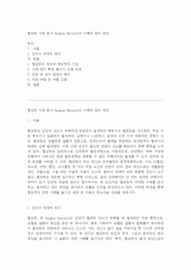 협심증 사례 분석 Angina Pectoris의 이해와 관리 방안-1페이지