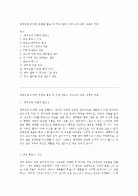 배액관의 다양한 종류와 활용 및 PCA 관리의 중요성에 대한 심층적 고찰-1페이지