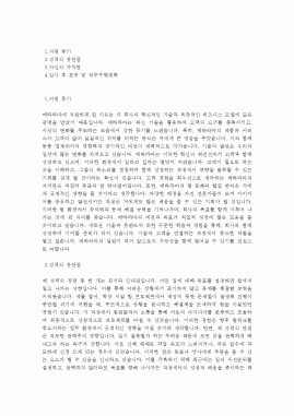 메타라마_BEST 우수 자기소개서-1페이지