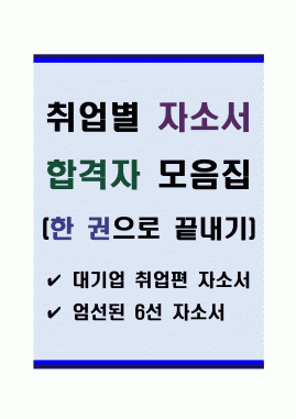 [한 권으로 끝내기] 취업별 자소서 합격자 모음집_대기업 취업편 (6선)-1페이지