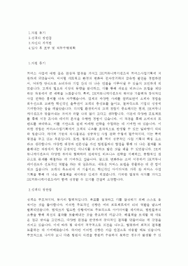 SK커뮤니케이션즈_커머스사업기획_BEST 우수 자기소개서-1페이지