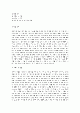 엔디에스(NDS)_SI 개발_BEST 우수 자기소개서-1페이지