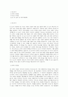 K Car_BEST 우수 자기소개서-1페이지