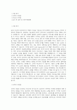 라이나생명 AI, LLM Operator 직무 BEST 우수 자기소개서 자소서-1페이지