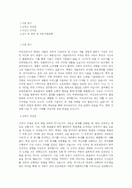 러쉬코리아 Backend Developer 직무 BEST 우수 자기소개서 자소서-1페이지