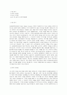 로엔엔터테인먼트 Multi-Media Contents (Web_Mobile 영상 Contents) 직무 BEST 우수 자기소개서 자소서-1페이지