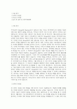 카카오 MongoDB Engineer 직무 BEST 우수 자기소개서 자소서-1페이지