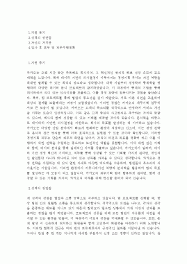카카오 재무기획(경영기획) 직무 BEST 우수 자기소개서 자소서-1페이지