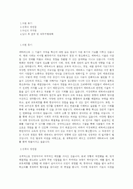 서강대학교 메타버스전문대학원 메타버스테크놀로지전공 학업계획서 BEST 우수-1페이지
