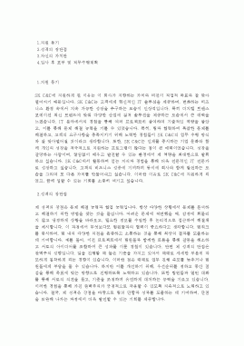 SK C&C_Supporting_BEST 우수 자기소개서-1페이지