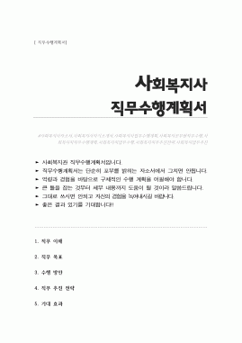 사회복지사 직무수행계획서 (장애인복지관)-1페이지