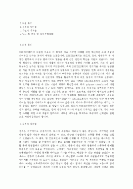 SKC코오롱PI_HR_BEST 우수 자기소개서-1페이지