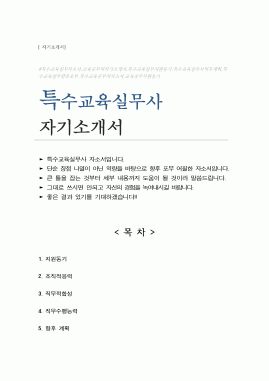 특수교육실무사 자기소개서-1페이지