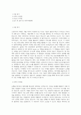 스트리미_백엔드 개발_BEST 우수 자기소개서-1페이지