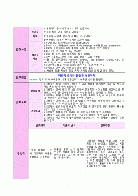 치료적 금식과 관련된 영양부족(장폐색)-1페이지