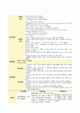 감염과 관련된 급성통증 요로감염 아동간호학-1페이지