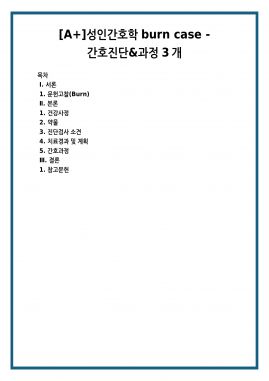 성인간호학 burn case - 간호진단&과정 3개-1페이지