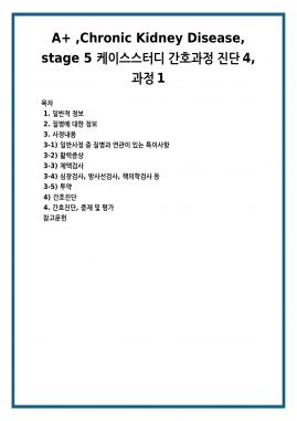 Chronic Kidney Disease, stage 5 케이스스터디 간호과정 진단4,과정1-1페이지