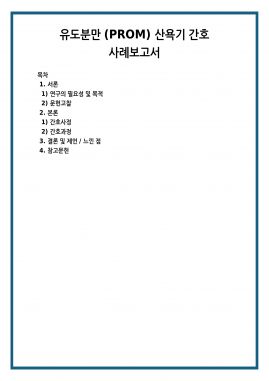 유도분만 (PROM)  산욕기 간호 사례보고서-1페이지