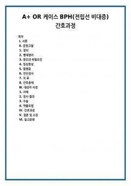 OR 케이스 BPH(전립선 비대증) 간호과정-1페이지