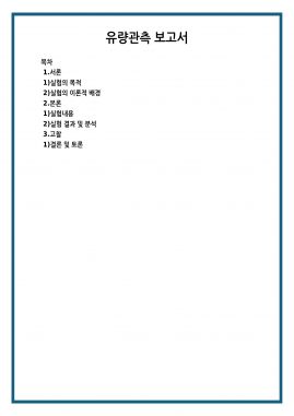 유량관측 보고서-1페이지