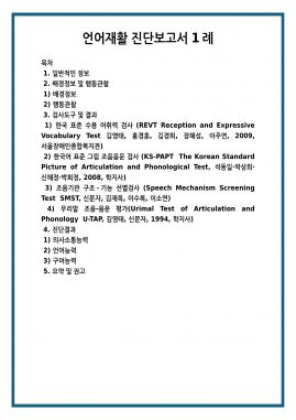 언어재활 진단보고서 1례-1페이지