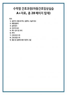 수막염 간호과정(아동간호임상실습 자료, 총 28페이지 탑재)-1페이지