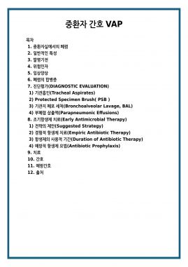 중환자 간호 VAP-1페이지