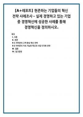 [레포트] 현존하는 기업들의 혁신 전략 사례조사-1페이지