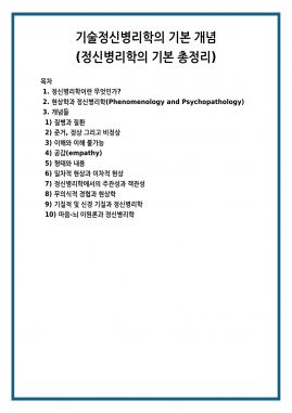 기술정신병리학의 기본 개념 (정신병리학의 기본 총정리)-1페이지