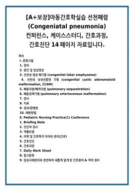 아동간호학실습 선천폐렴(Congeniatal pneumonia) 컨퍼런스, 케이스스터디, 간호과정, 간호진단 14페이지 자료입니다.-1페이지