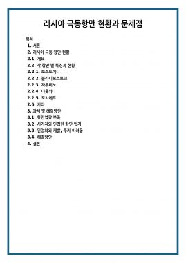 러시아 극동항만 현황과 문제점-1페이지